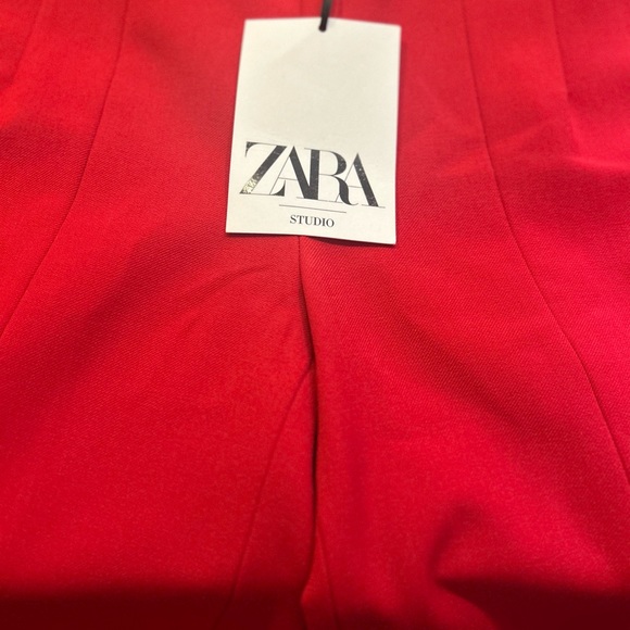 Zara | Pants & Jumpsuits | Zara Red Low Rise Pants Limited Edition ...